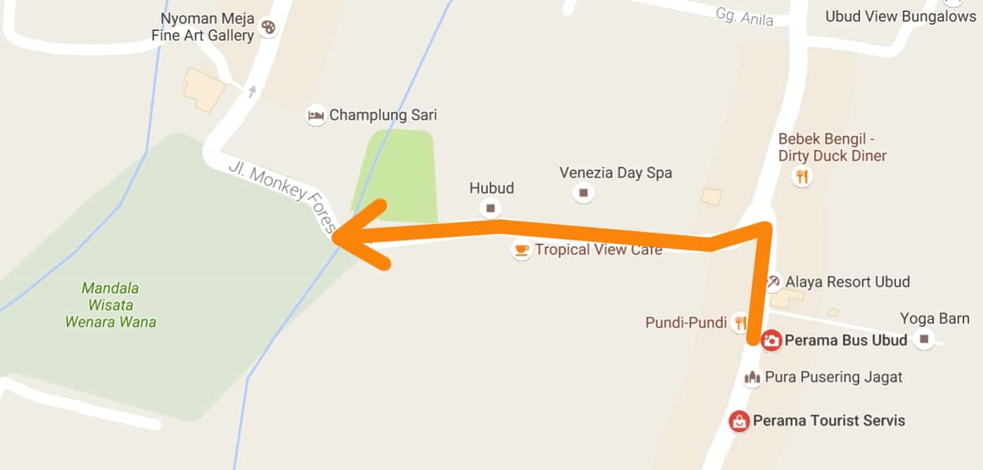 Une journée à Ubud, Bali, Indonésie - Laurent et Victoria en voyage